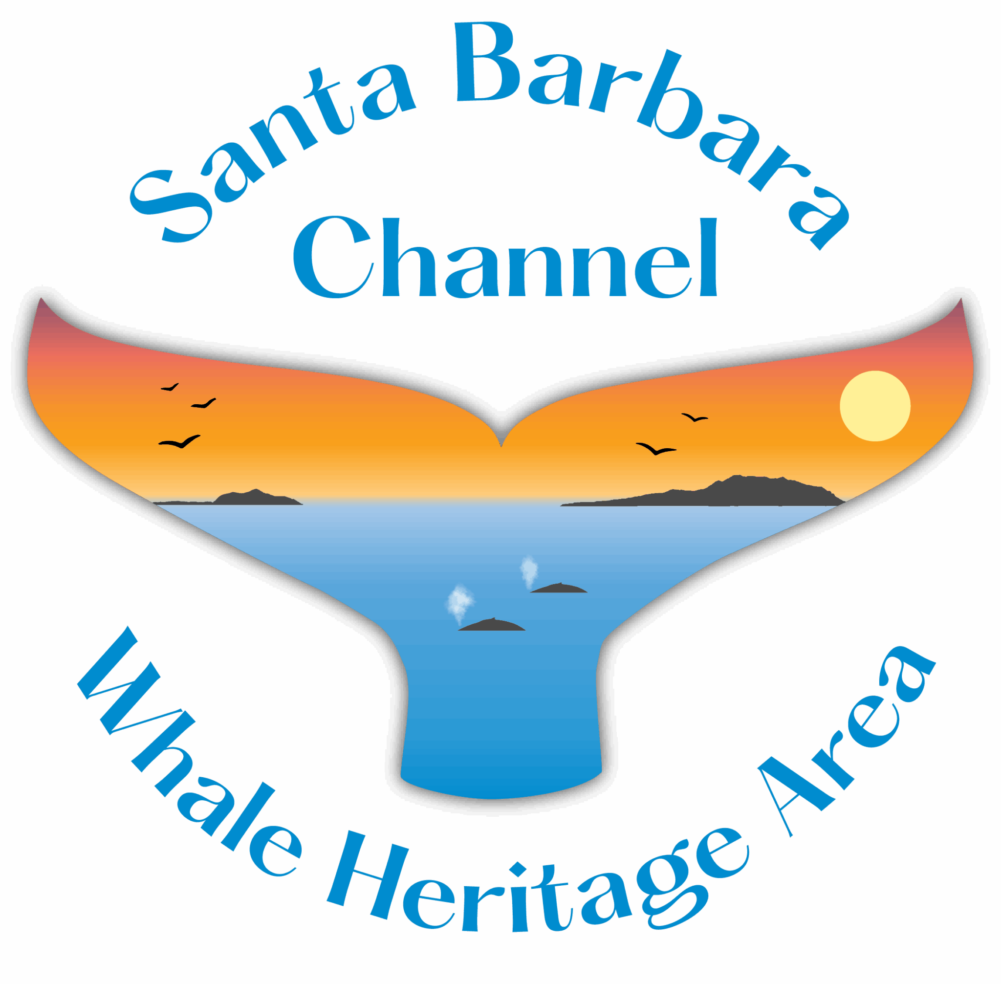 About Us | Blue Whales Blue Skies