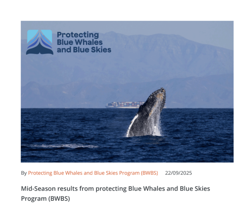 2025 Mid-Season results from Protecting Blue Whales and Blue Skies ...